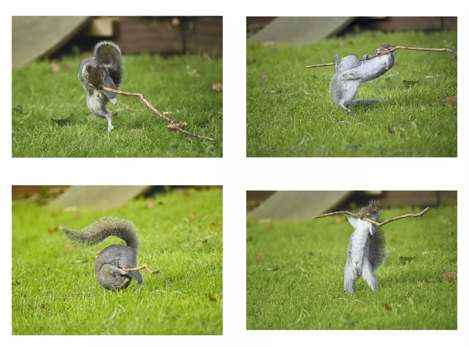 Solve Dancing to the Music, Rock Guitar, Roly Poly, Weight Lifting ...