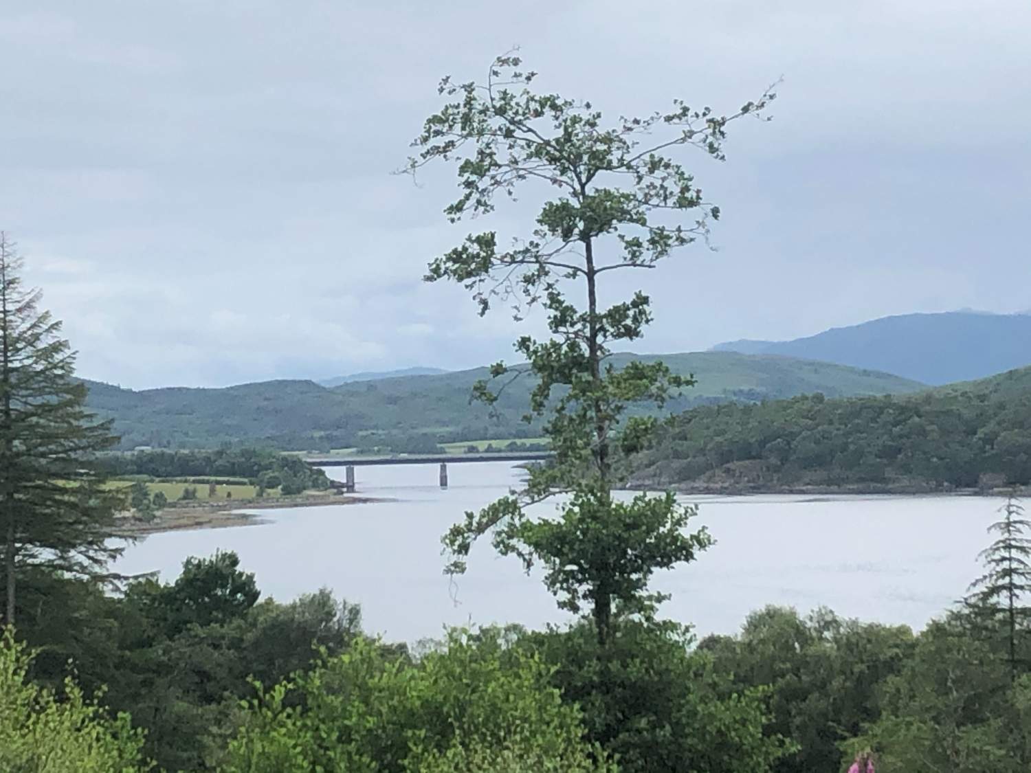 Solve Creagan Bridge jigsaw puzzle online with 80 pieces