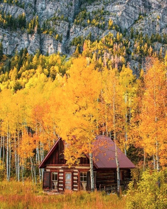 Solve Cabin in the Aspen Trees by the Mountains--Colorado.... jigsaw ...