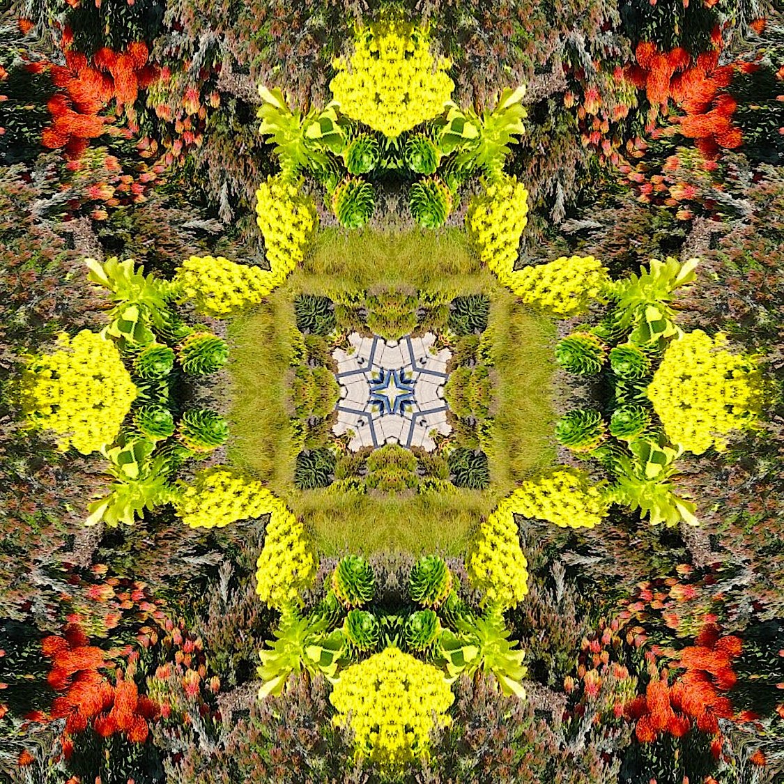 Solve #2 very small jigsaw puzzle online with 25 pieces