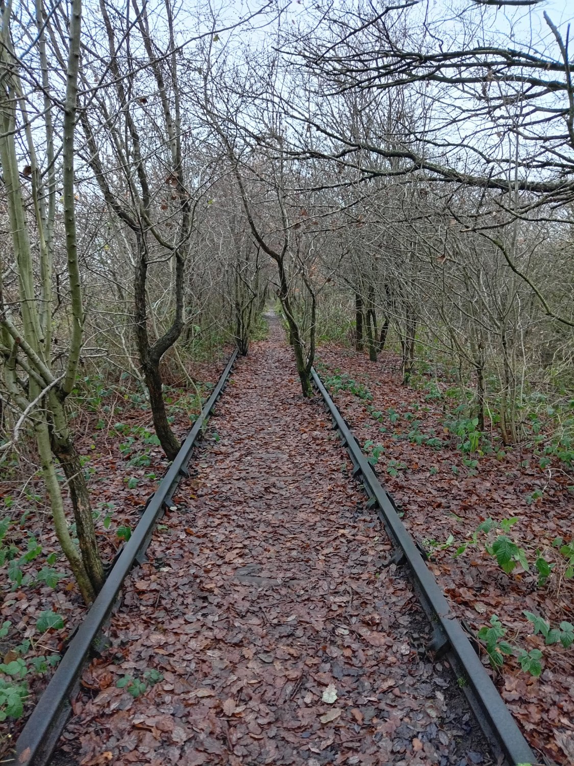 Solve ABANDONED RAILWAY TRACK. jigsaw puzzle online with 130 pieces