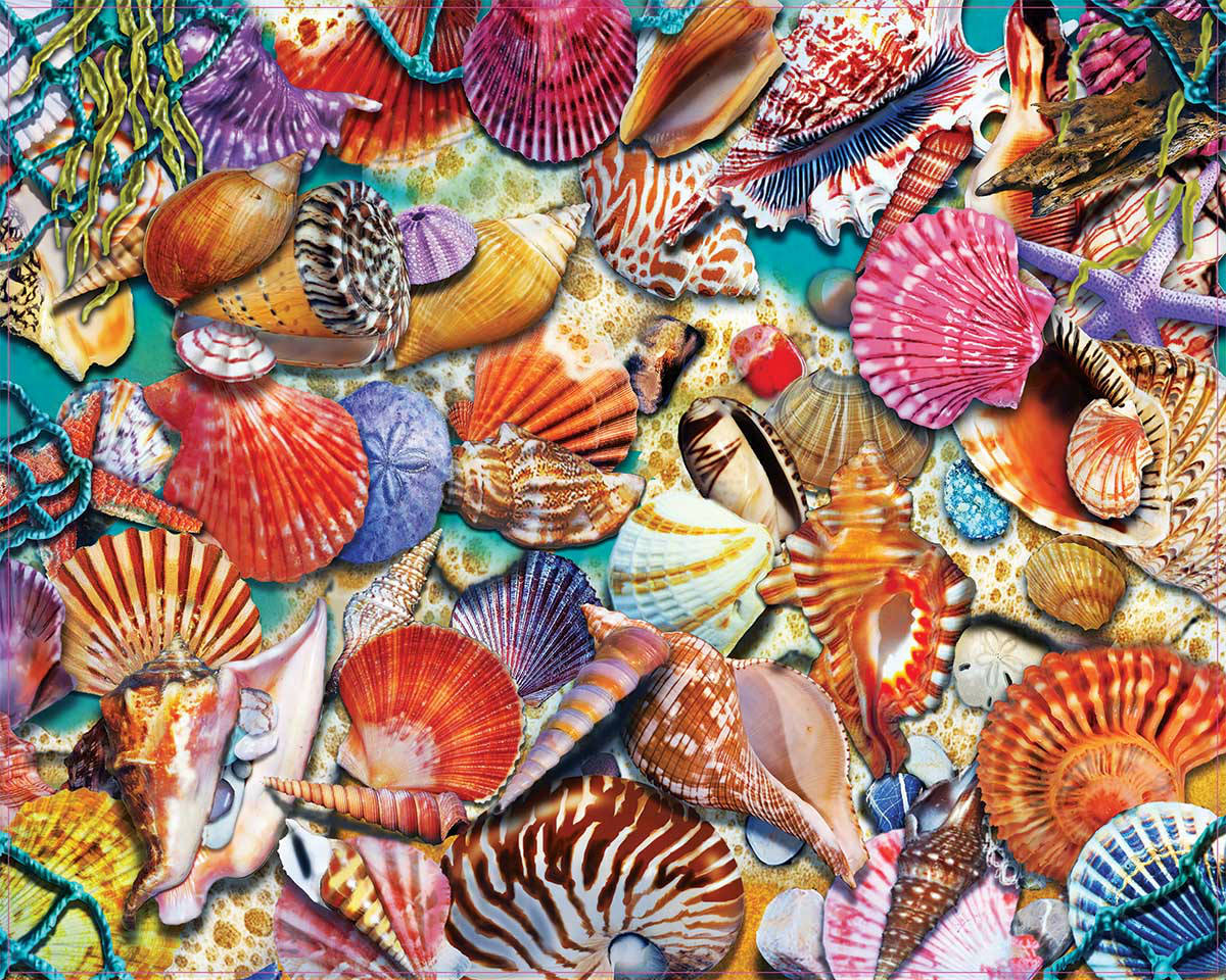 Solve Coastal Shells jigsaw puzzle online with 320 pieces