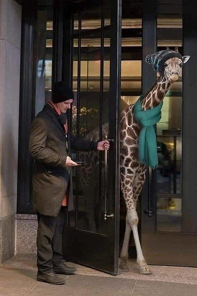 Solve Thank You jigsaw puzzle online with 54 pieces