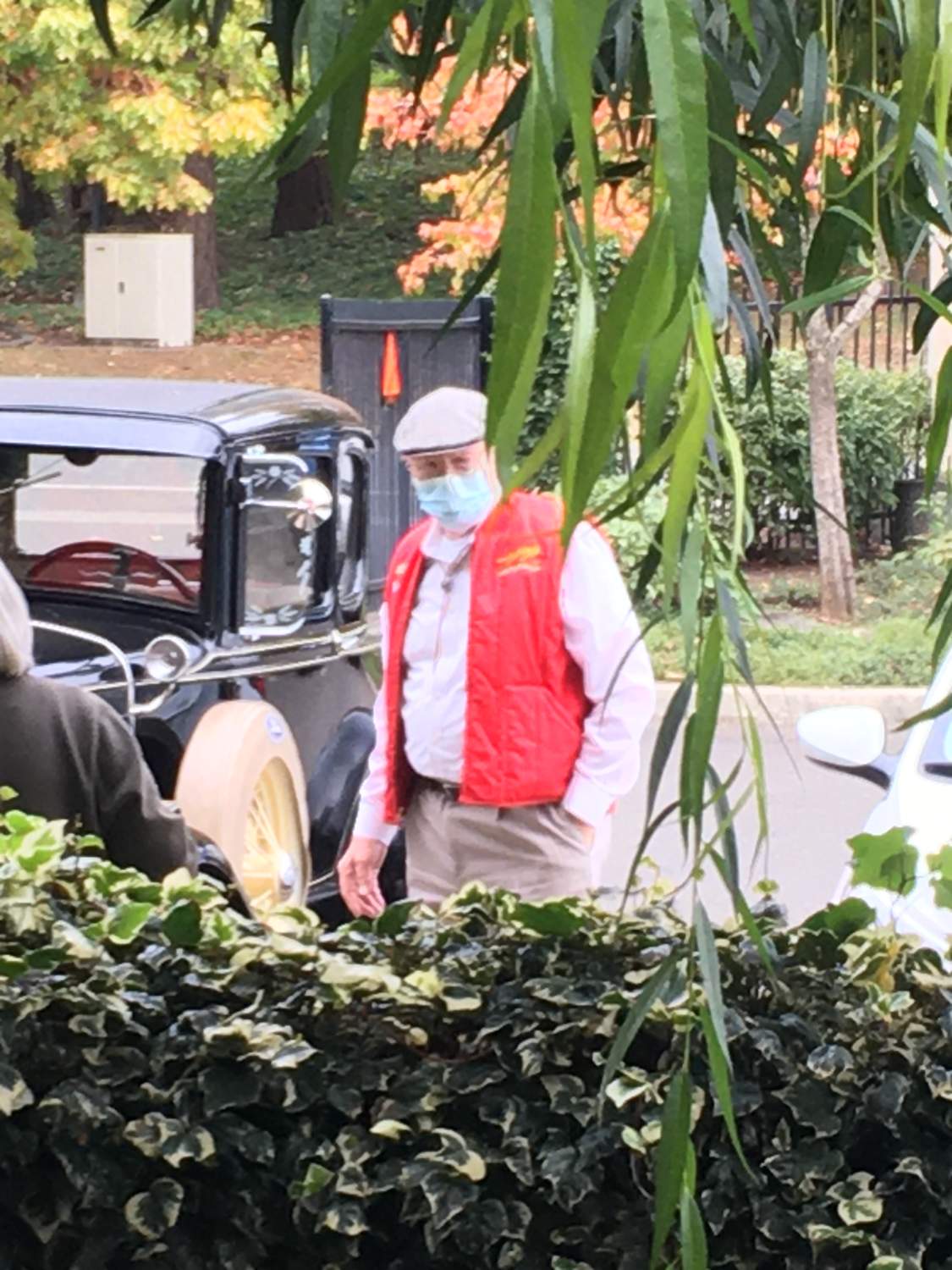 Solve Bob! jigsaw puzzle online with 108 pieces