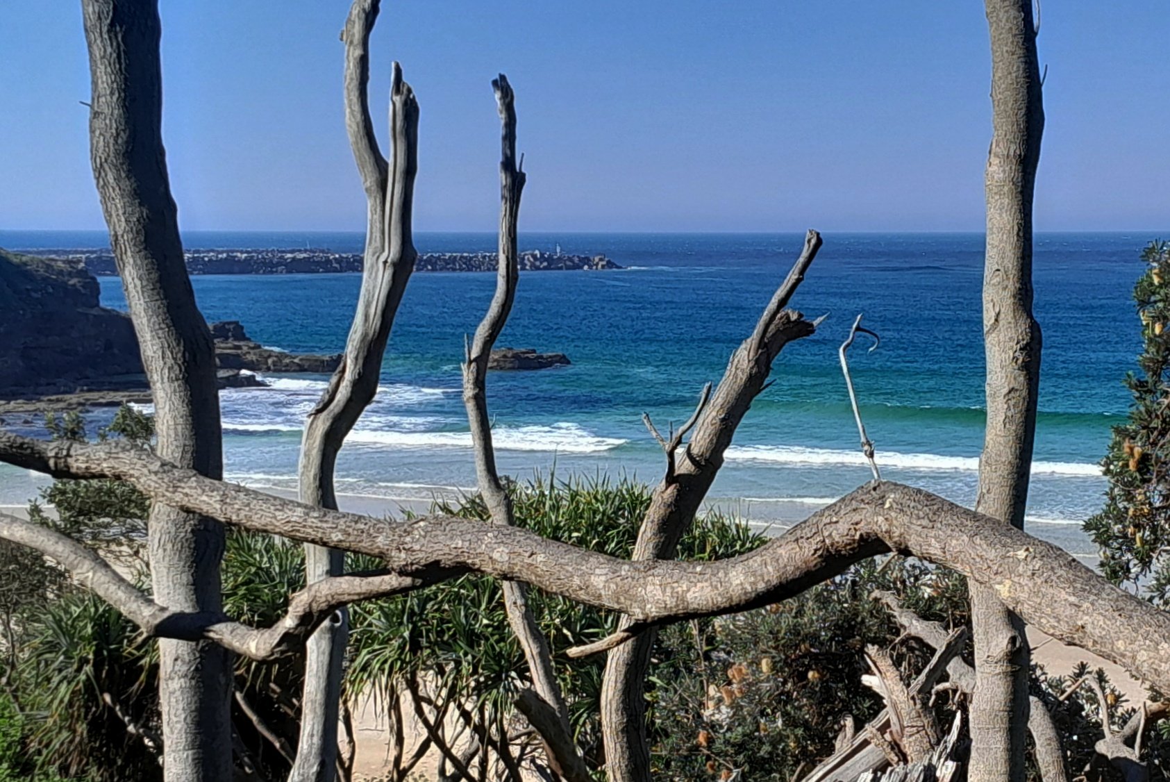 Solve Up Sticks or fallen branches. jigsaw puzzle online with 77 pieces