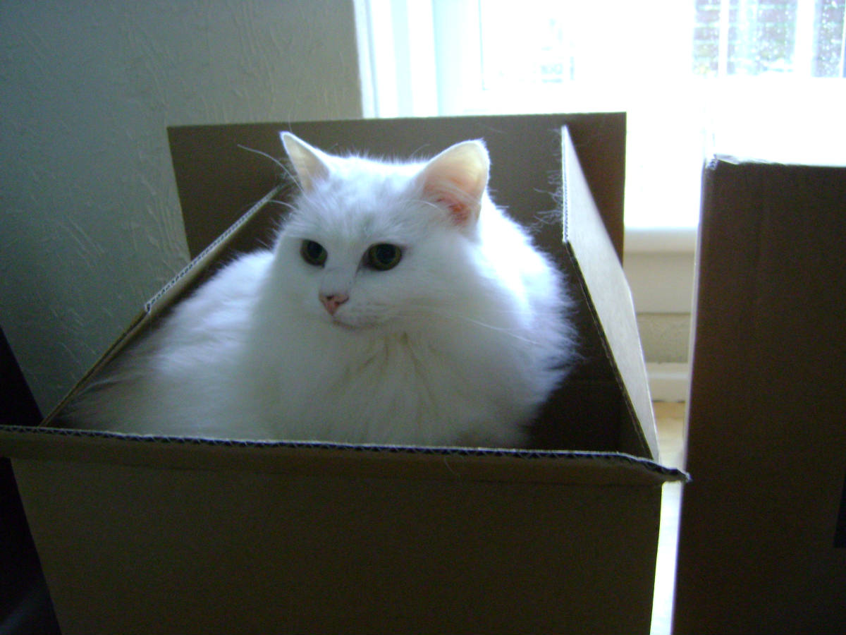 Solve Freya - Mine! jigsaw puzzle online with 108 pieces