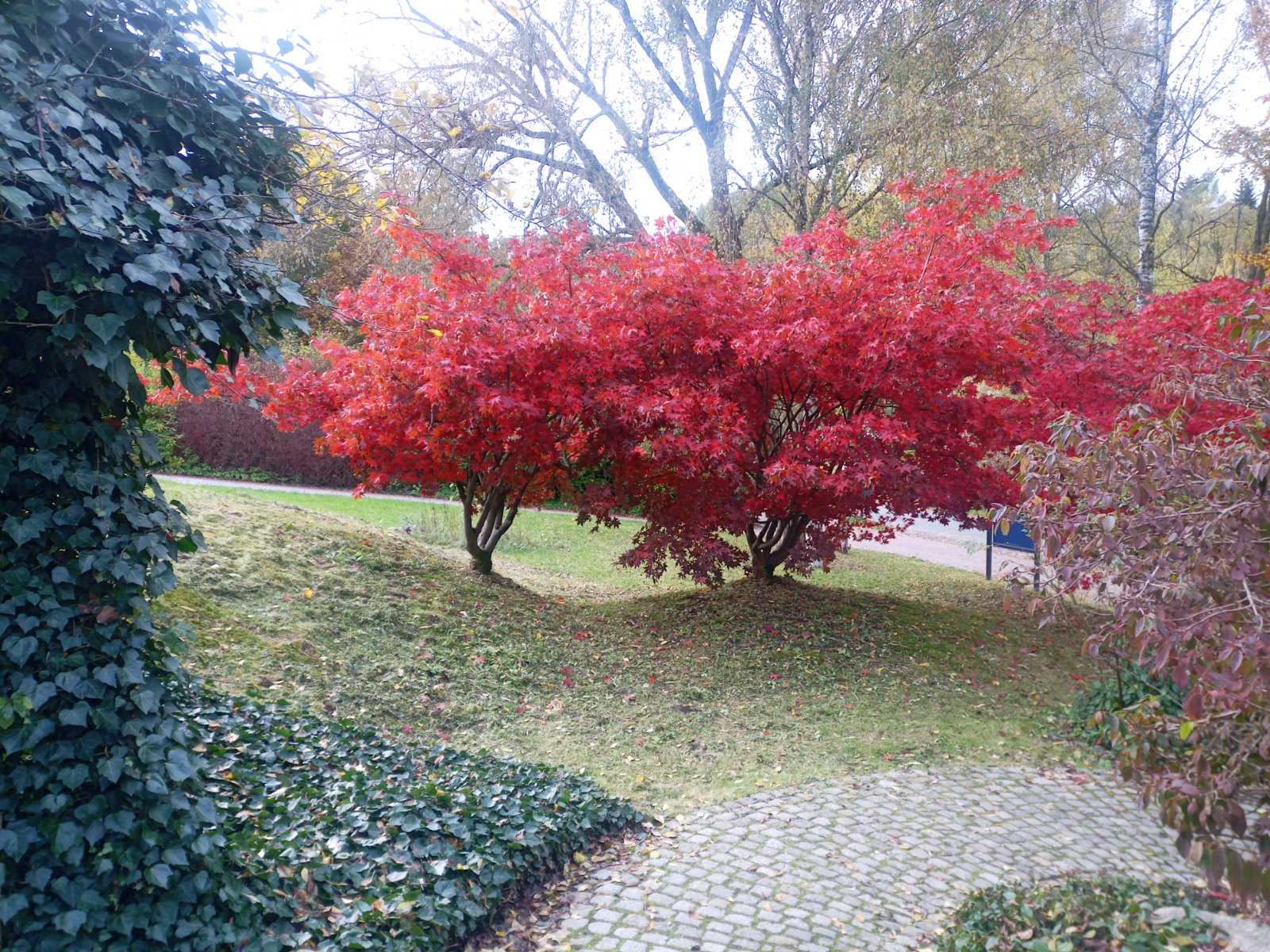 Solve Bad Schlema - Kurpark jigsaw puzzle online with 48 pieces