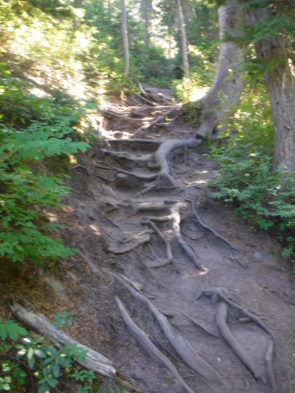 Solve Mt. Rainier National Park, Washington state jigsaw puzzle online ...