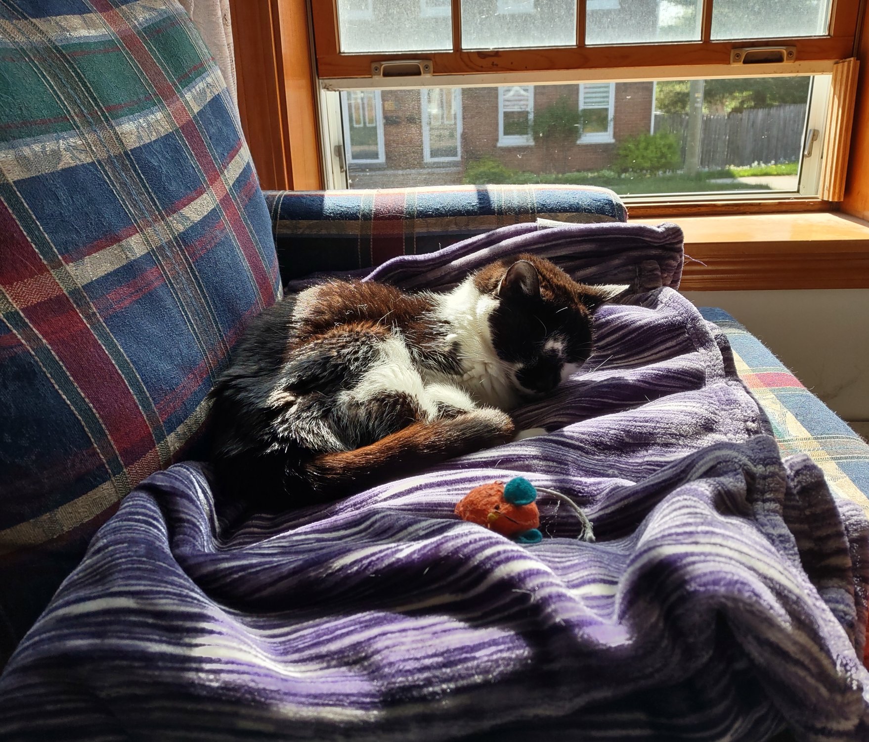 Solve Finally Sunshine 01 jigsaw puzzle online with 180 pieces