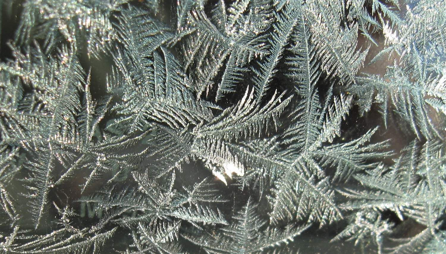 Solve Frost patterns jigsaw puzzle online with 40 pieces