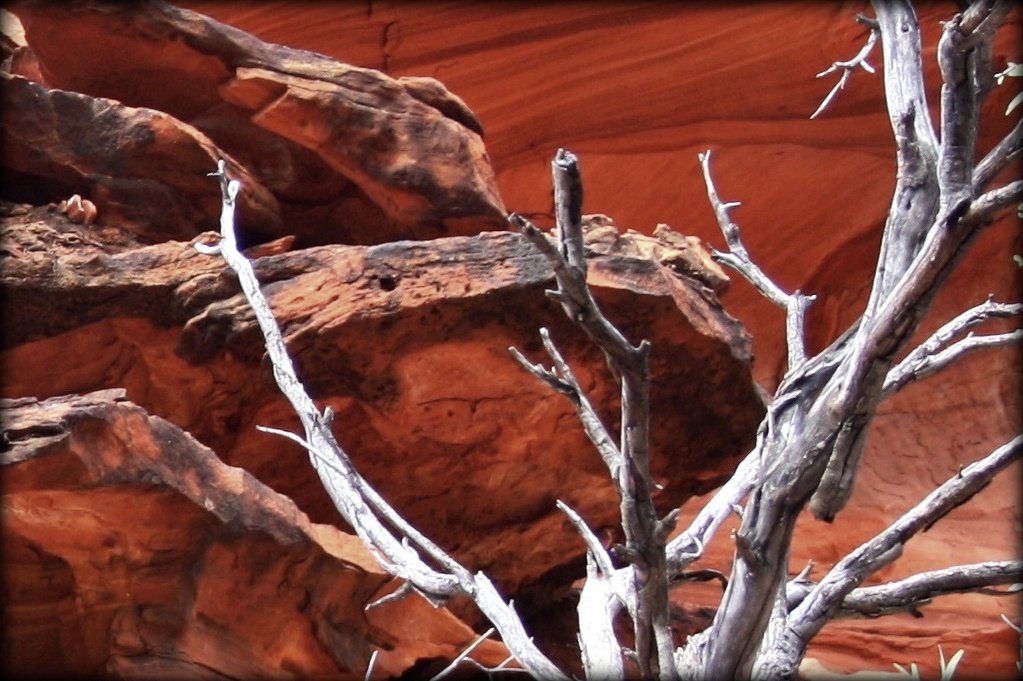 Solve Outback Australia. jigsaw puzzle online with 96 pieces