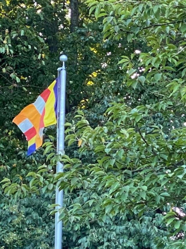 Solve Flag jigsaw puzzle online with 20 pieces