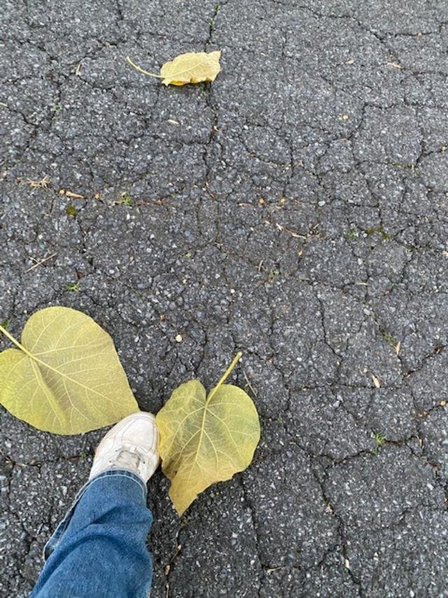 Solve Leaves with my foot jigsaw puzzle online with 20 pieces