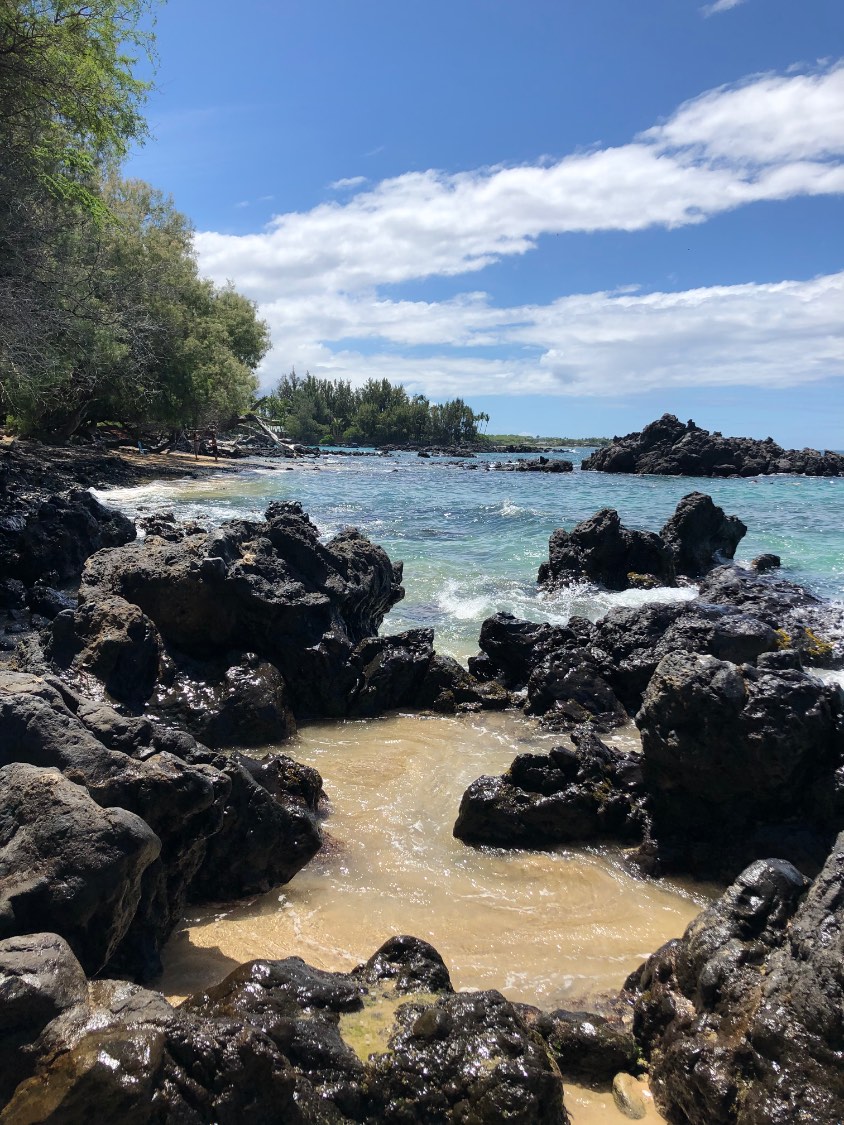 Solve Big Island Tide Pool jigsaw puzzle online with 63 pieces