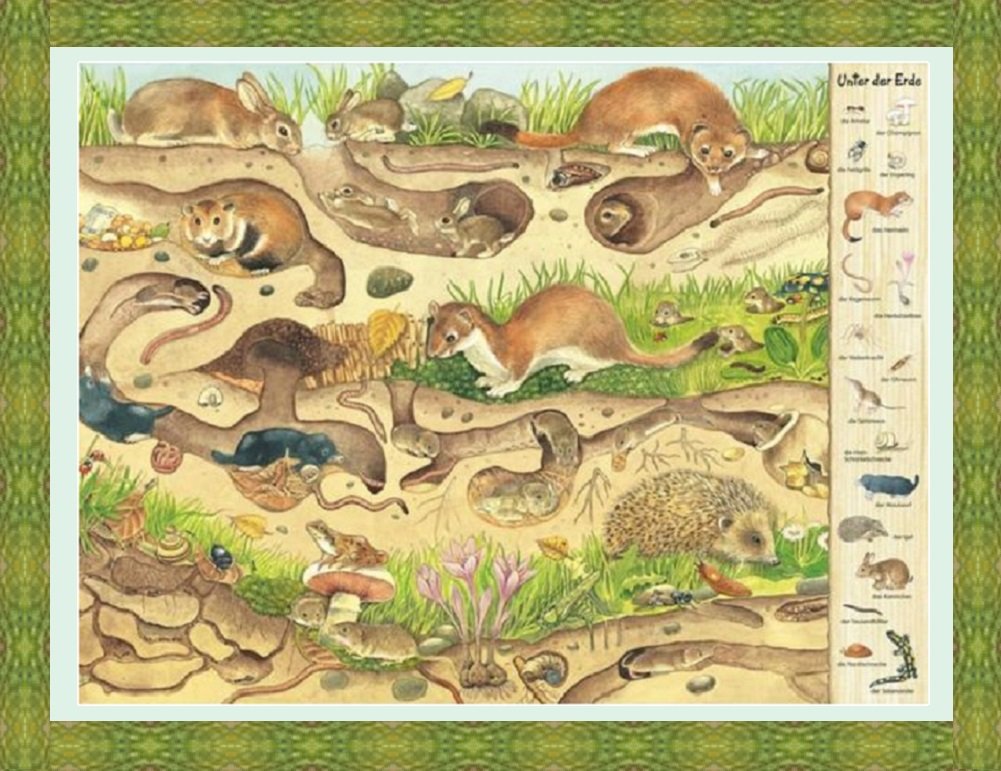 Solve Nature Hidden Object jigsaw puzzle online with 48 pieces