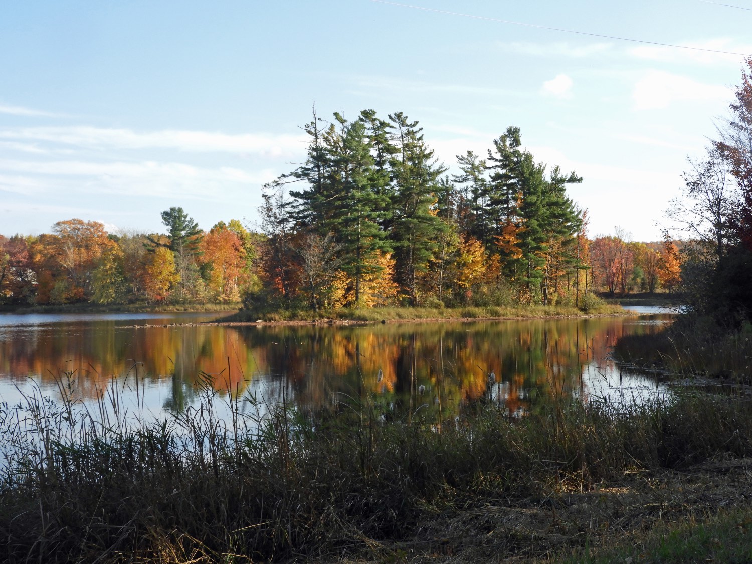 Solve Another view of the island in Bass Lake jigsaw puzzle online with ...