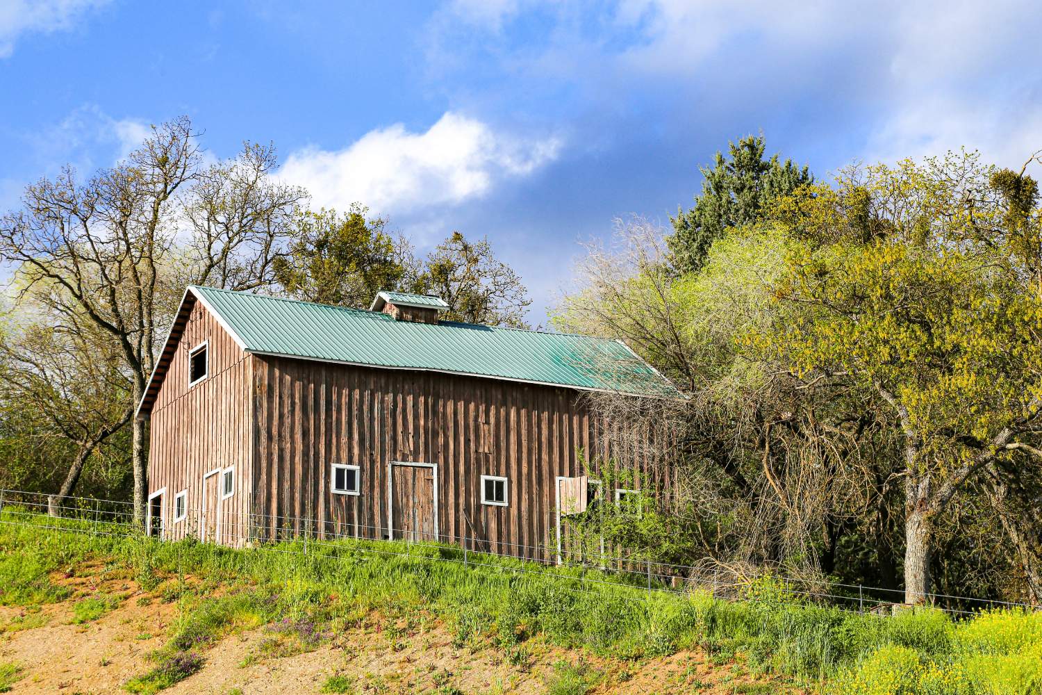 Solve LOCAL BARN jigsaw puzzle online with 96 pieces