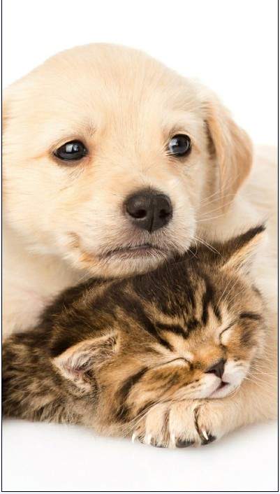 Solve Vyrůstáme spolu_We grow up together jigsaw puzzle online with 28 ...