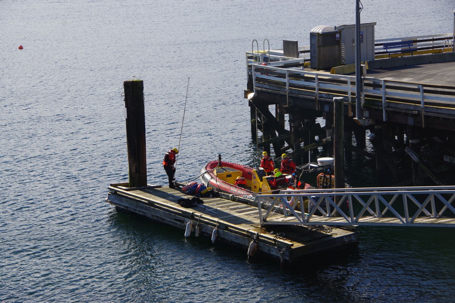 Solve Sar Practice Jigsaw Puzzle Online With 12 Pieces