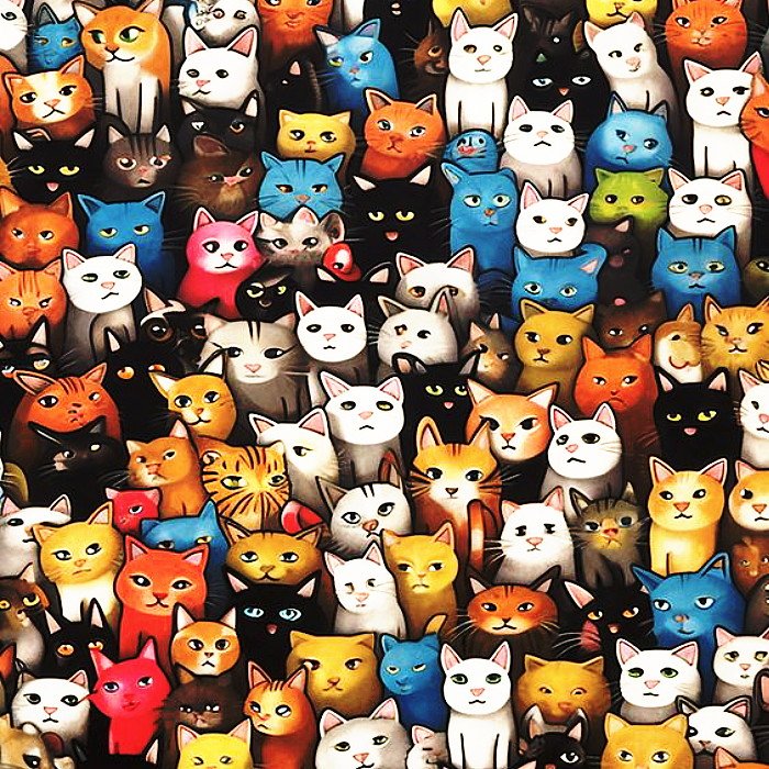 Solve So many cats ! jigsaw puzzle online with 25 pieces