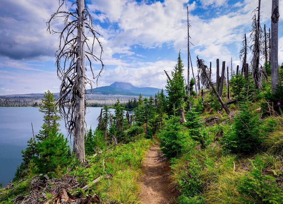 Solve Oregon jigsaw puzzle online with 192 pieces