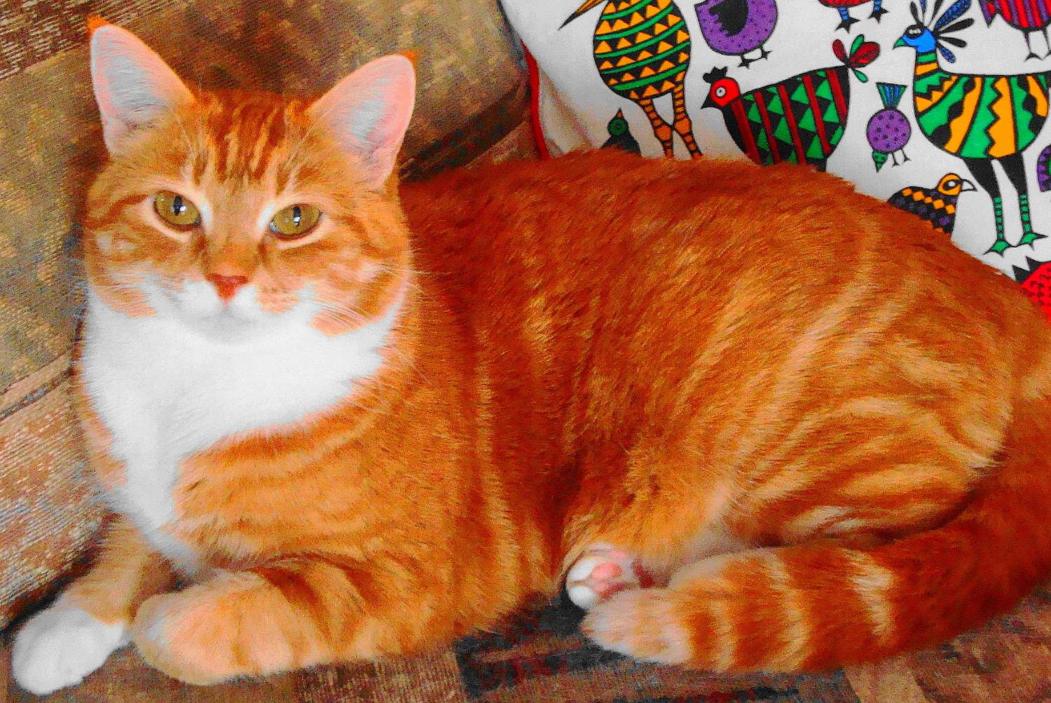 Solve Our Beautiful Foxy jigsaw puzzle online with 40 pieces