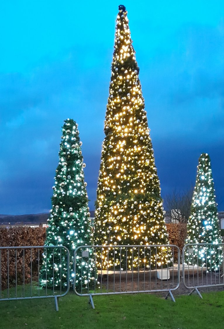 Solve Christmas trees near the entrance to a local retail park jigsaw ...