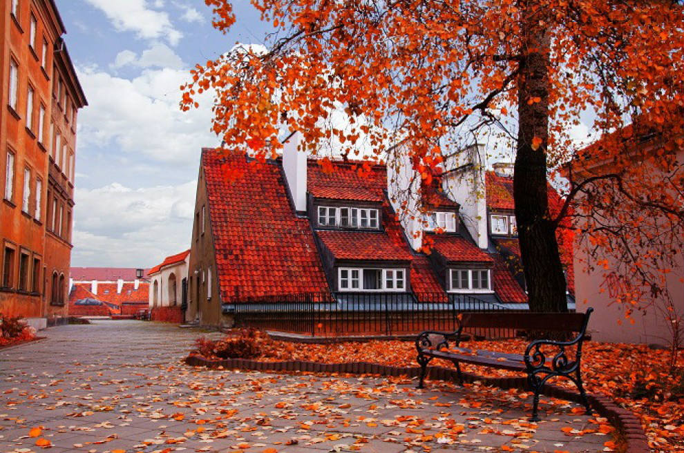 Solve Red everywhere jigsaw puzzle online with 96 pieces