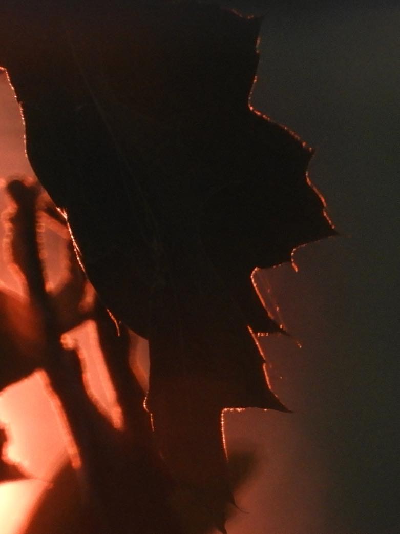 Solve Sunset edge jigsaw puzzle online with 20 pieces