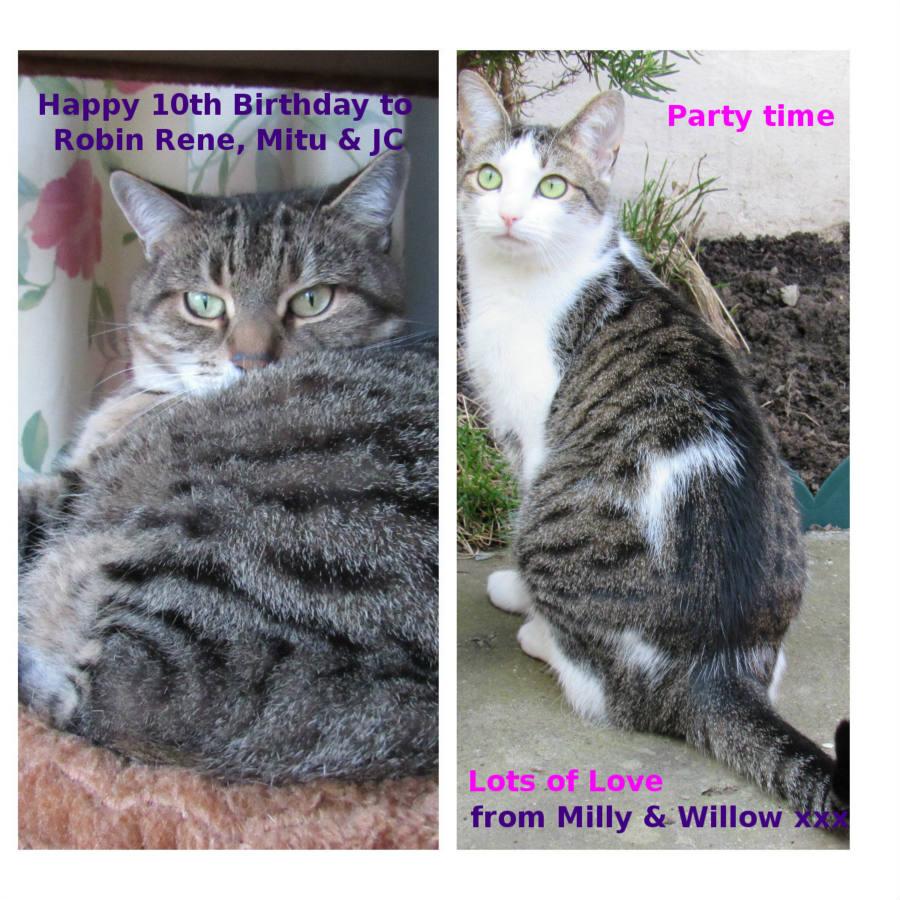 Jigsaw Puzzle | Happy Birthday Robin Rene, Mitu & JC ♥♥ | 49 pieces ...