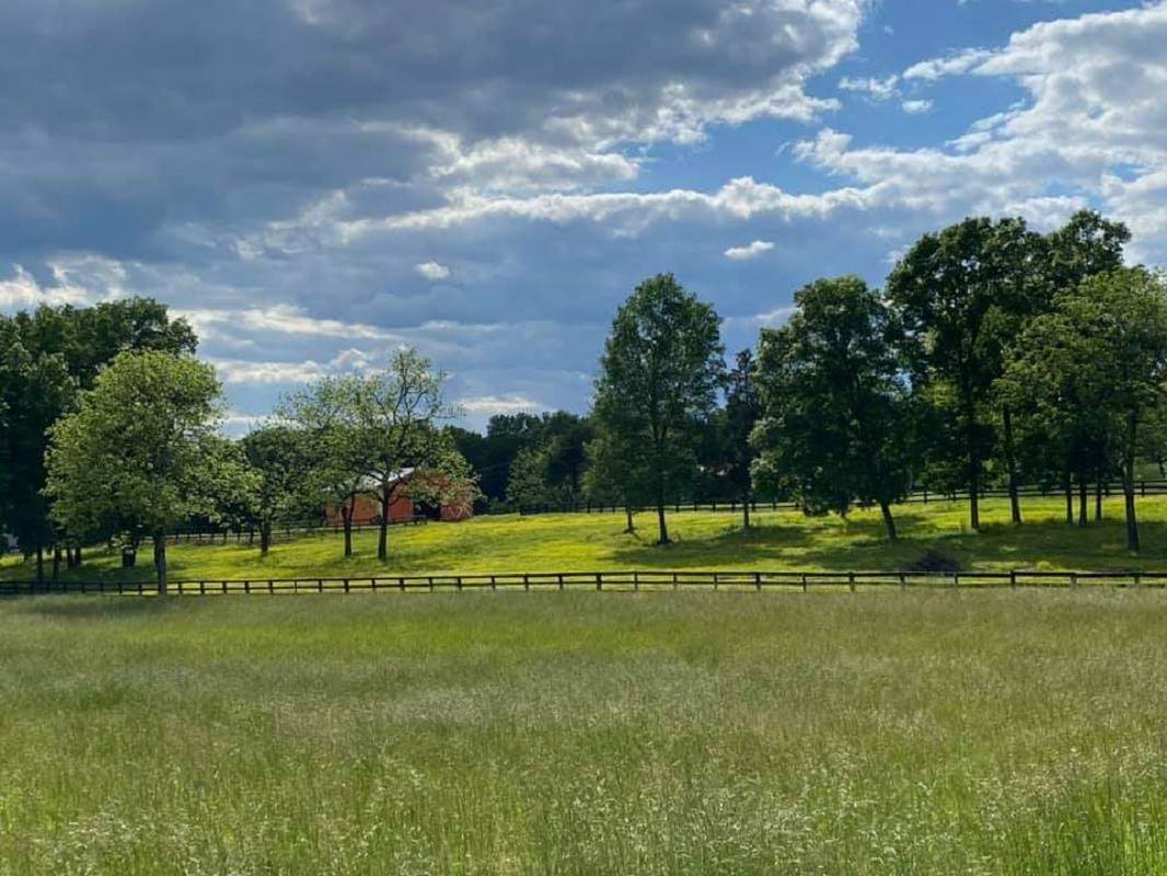 Solve East Tennessee Spring Scene jigsaw puzzle online with 88 pieces