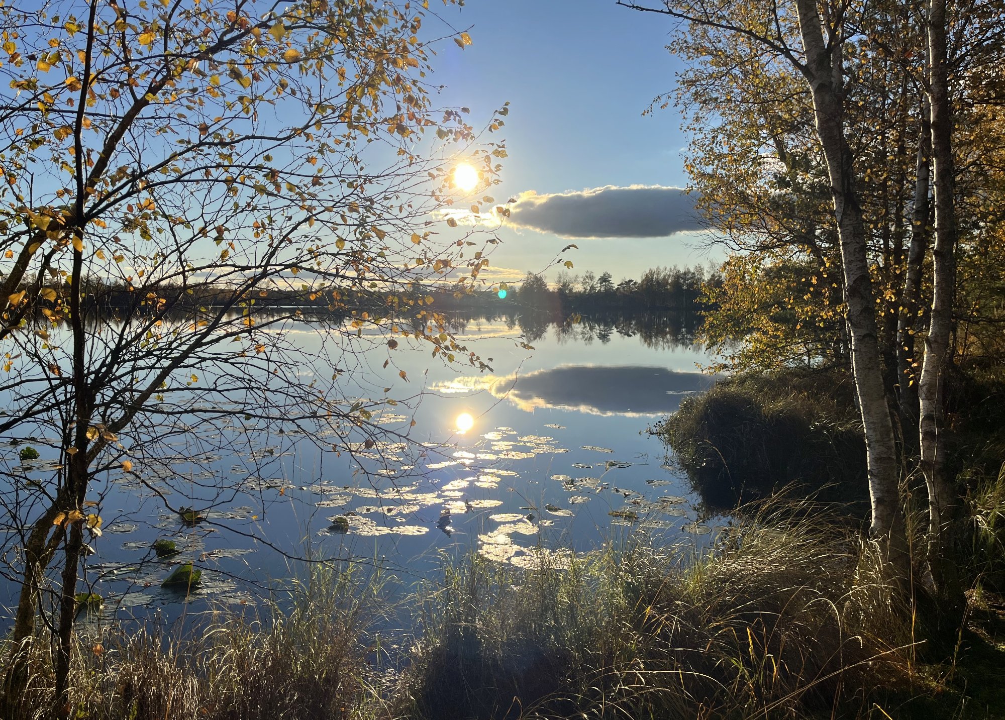 Solve Sunset jigsaw puzzle online with 88 pieces