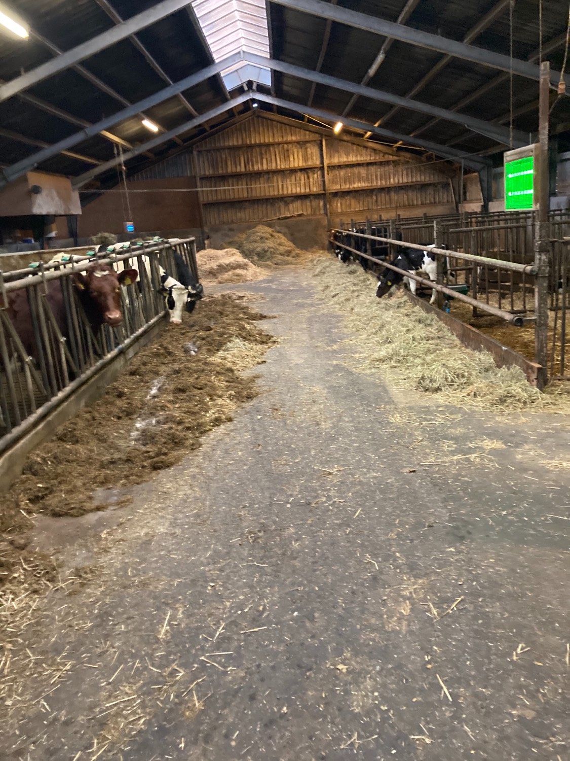 Solve Koen 20 jigsaw puzzle online with 432 pieces