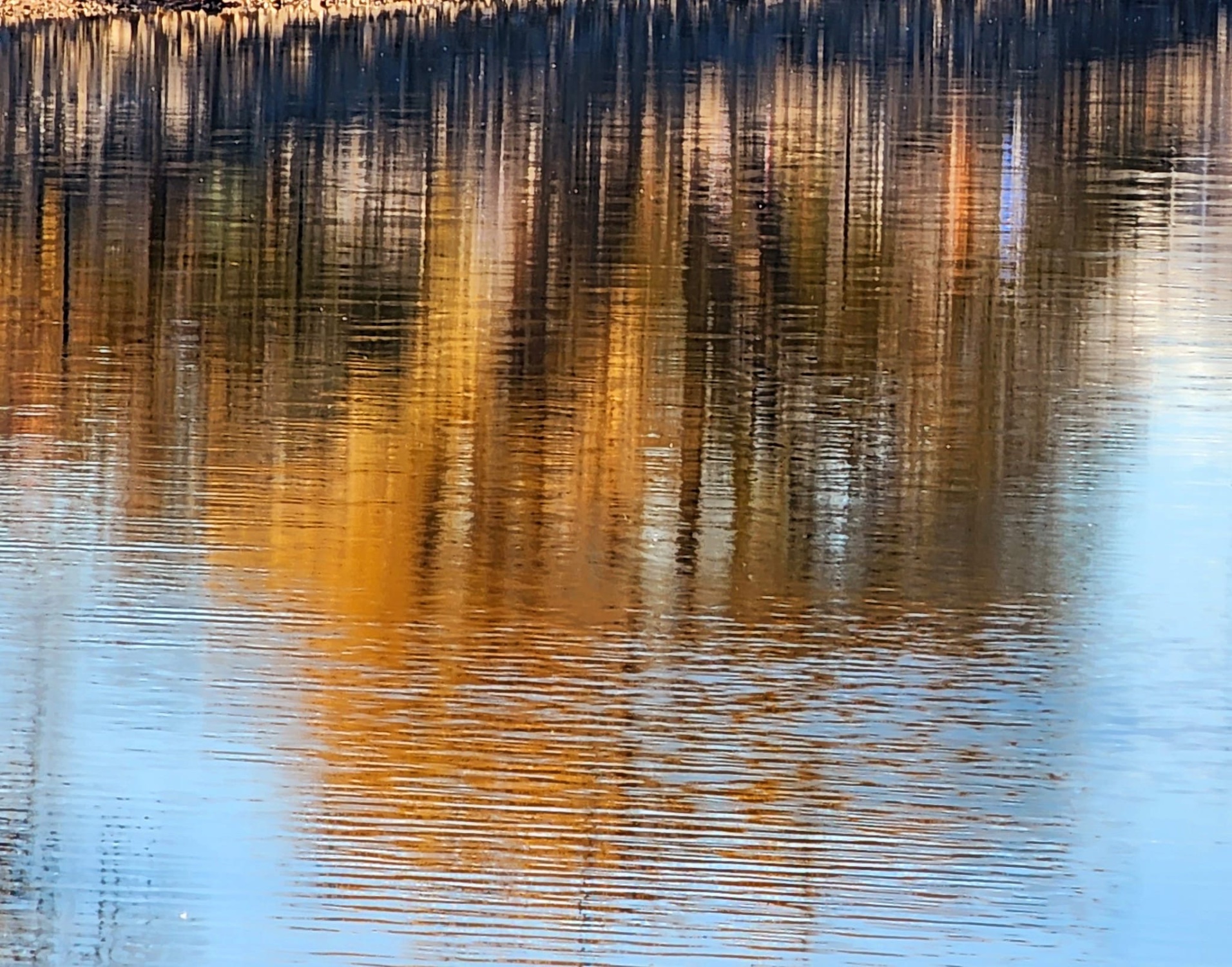 Solve Reflections jigsaw puzzle online with 208 pieces