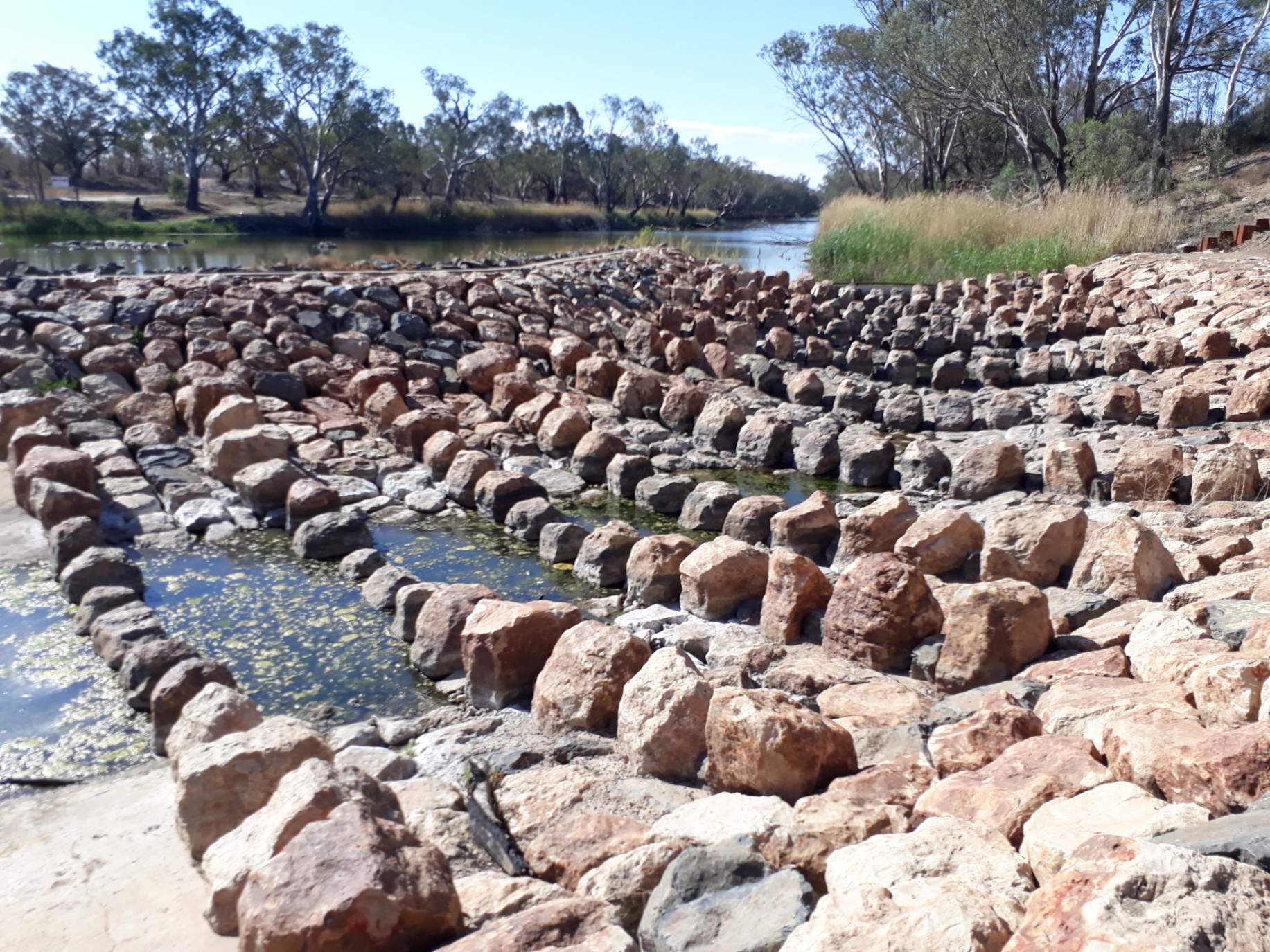 Solve Fish traps jigsaw puzzle online with 165 pieces