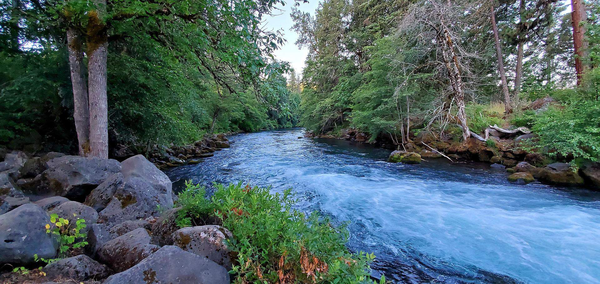 Solve Swift-Moving Stream jigsaw puzzle online with 253 pieces