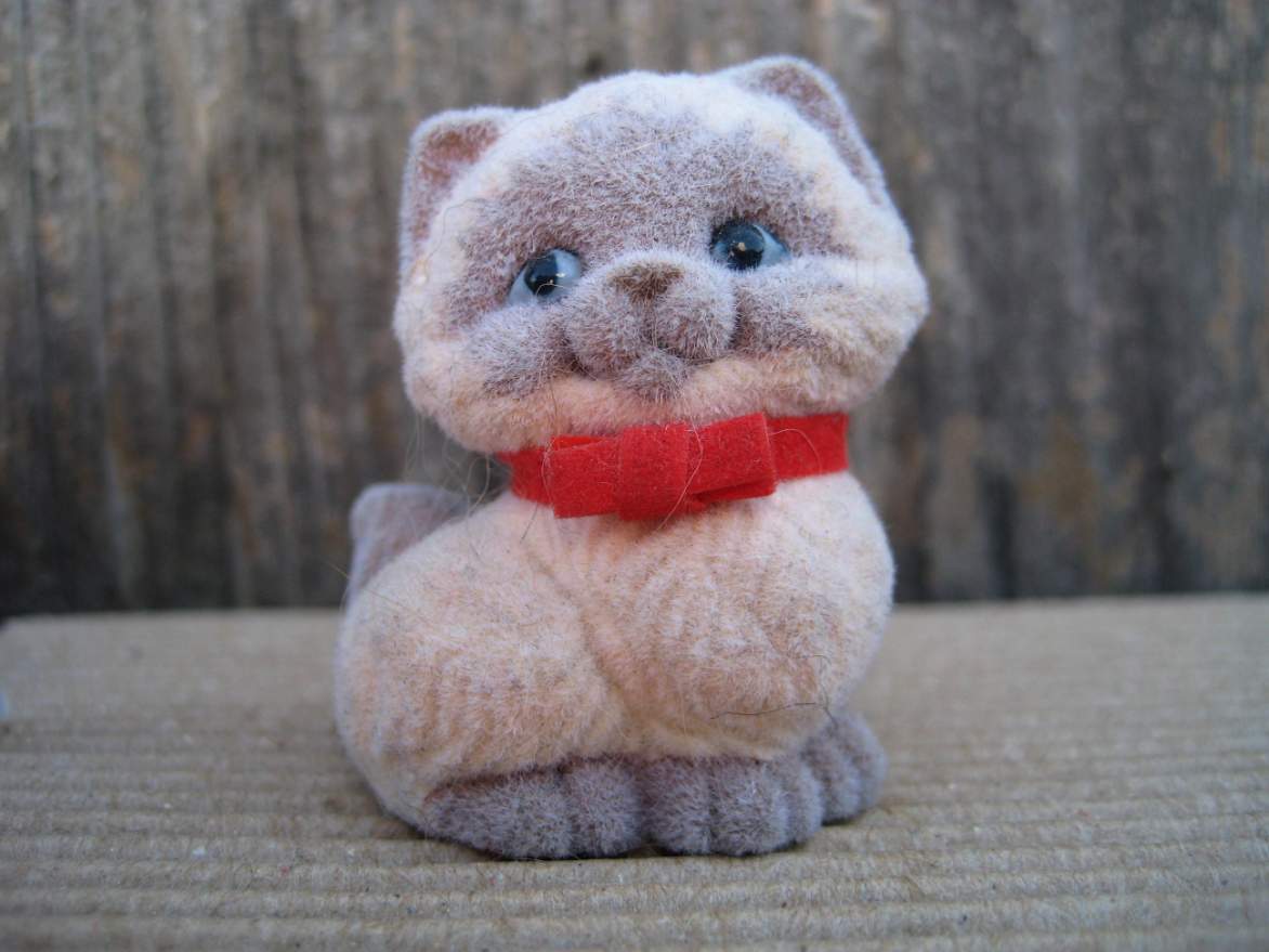 Solve Tiny fuzzy kitty with a red bow collar. jigsaw puzzle online with 20 pieces