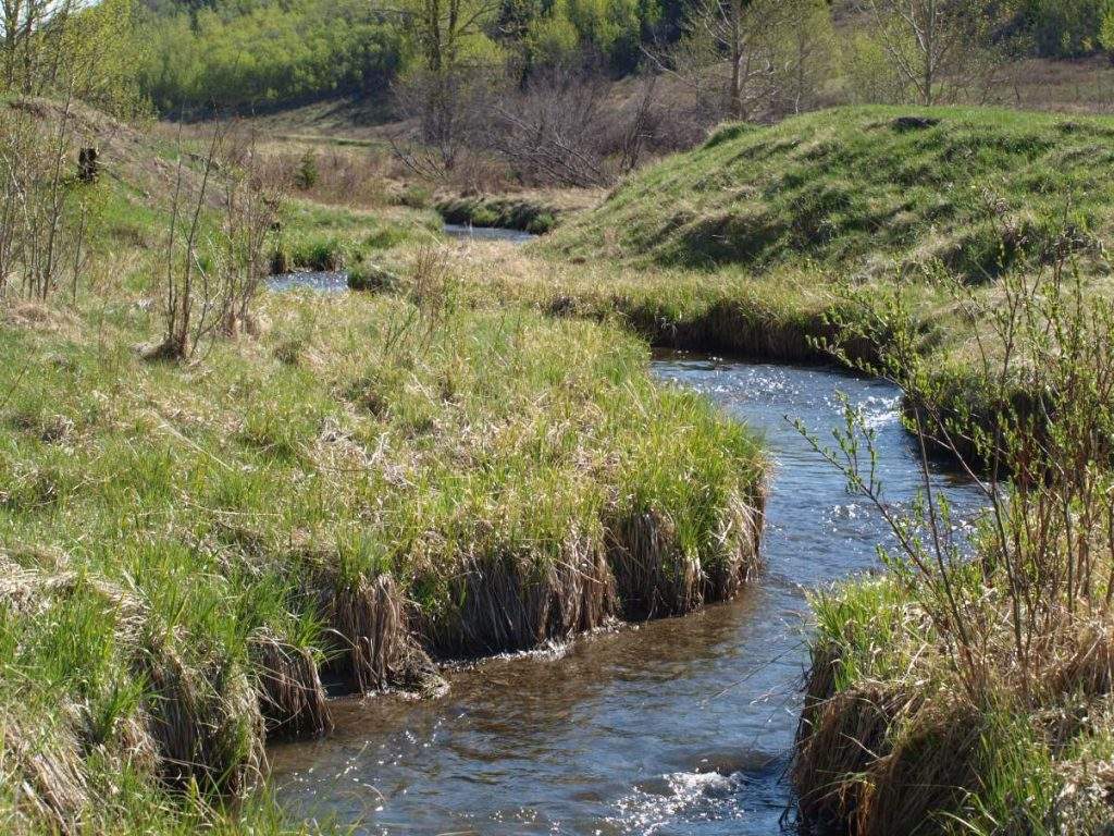 Solve Stressed Drawer Bard jigsaw puzzle online with 130 pieces