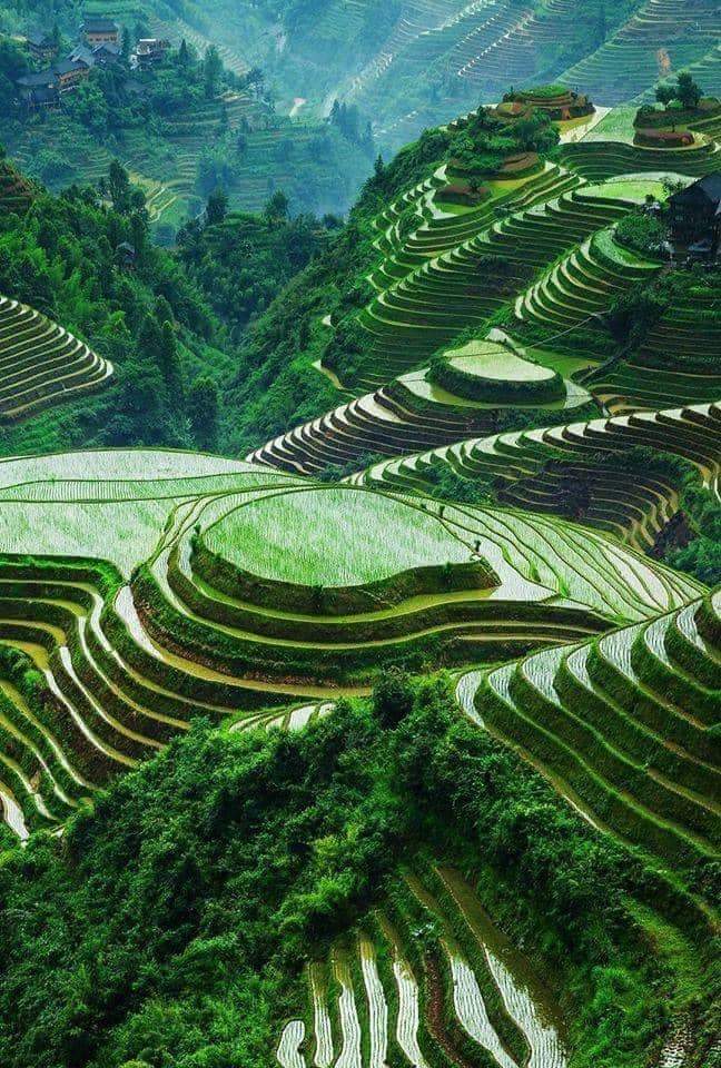 Solve Banaue rice terraces, jigsaw puzzle online with 126 pieces