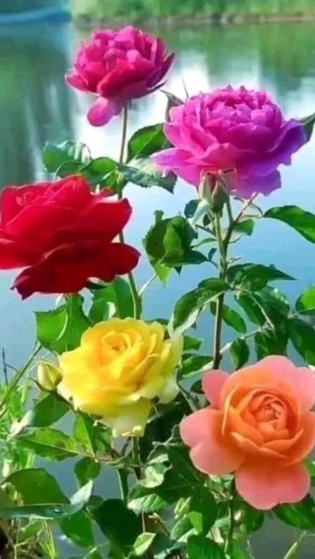 Jigsaw Puzzle | 198 pieces | 2 | Jigidi