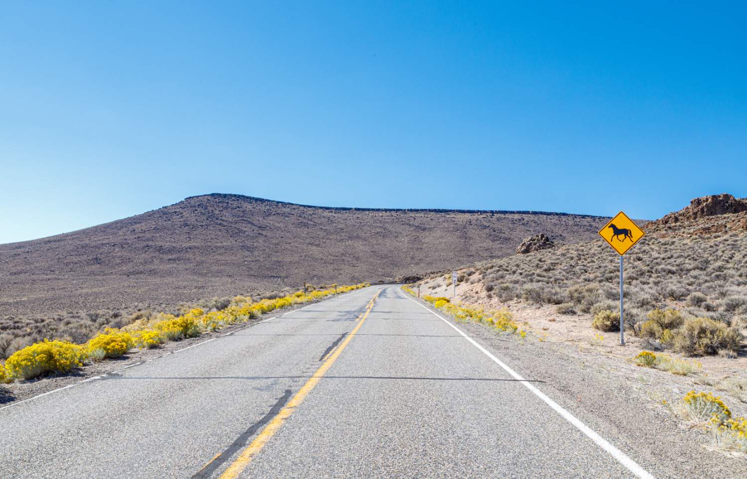 Solve WILD HORSES WARNING SIGN jigsaw puzzle online with 96 pieces