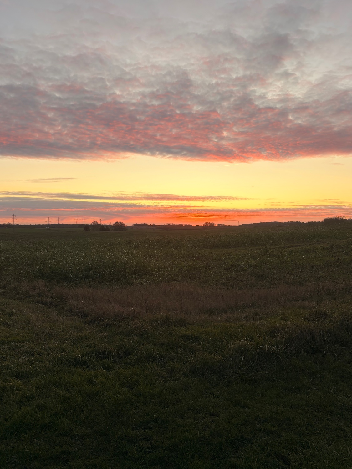 Solve Never gets boring jigsaw puzzle online with 63 pieces