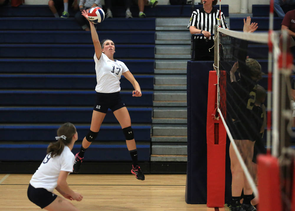 Solve Volleyball jigsaw puzzle online with 70 pieces