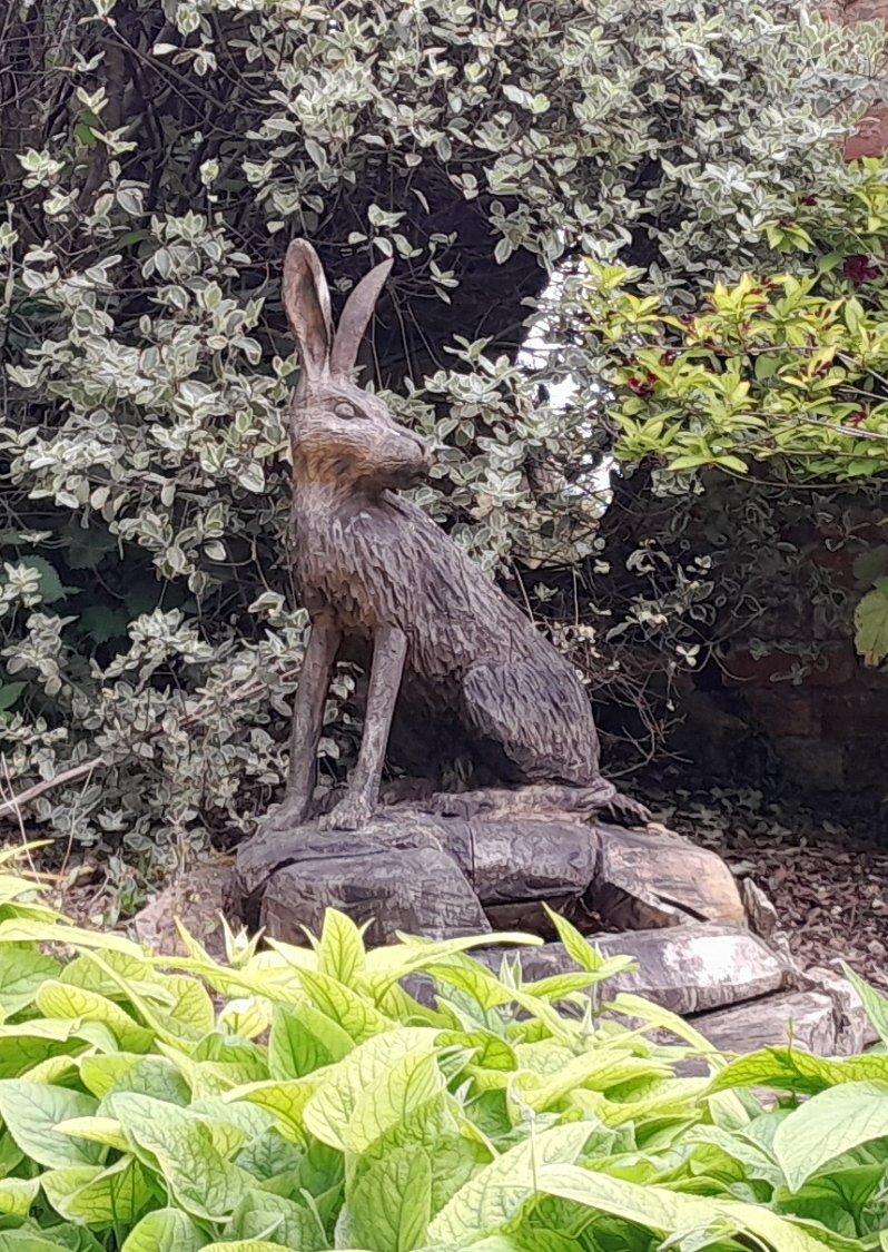 Solve Hare in the garden jigsaw puzzle online with 12 pieces