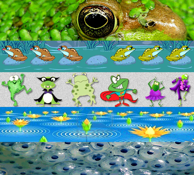 Solve frolicking frogs jigsaw puzzle online with 90 pieces
