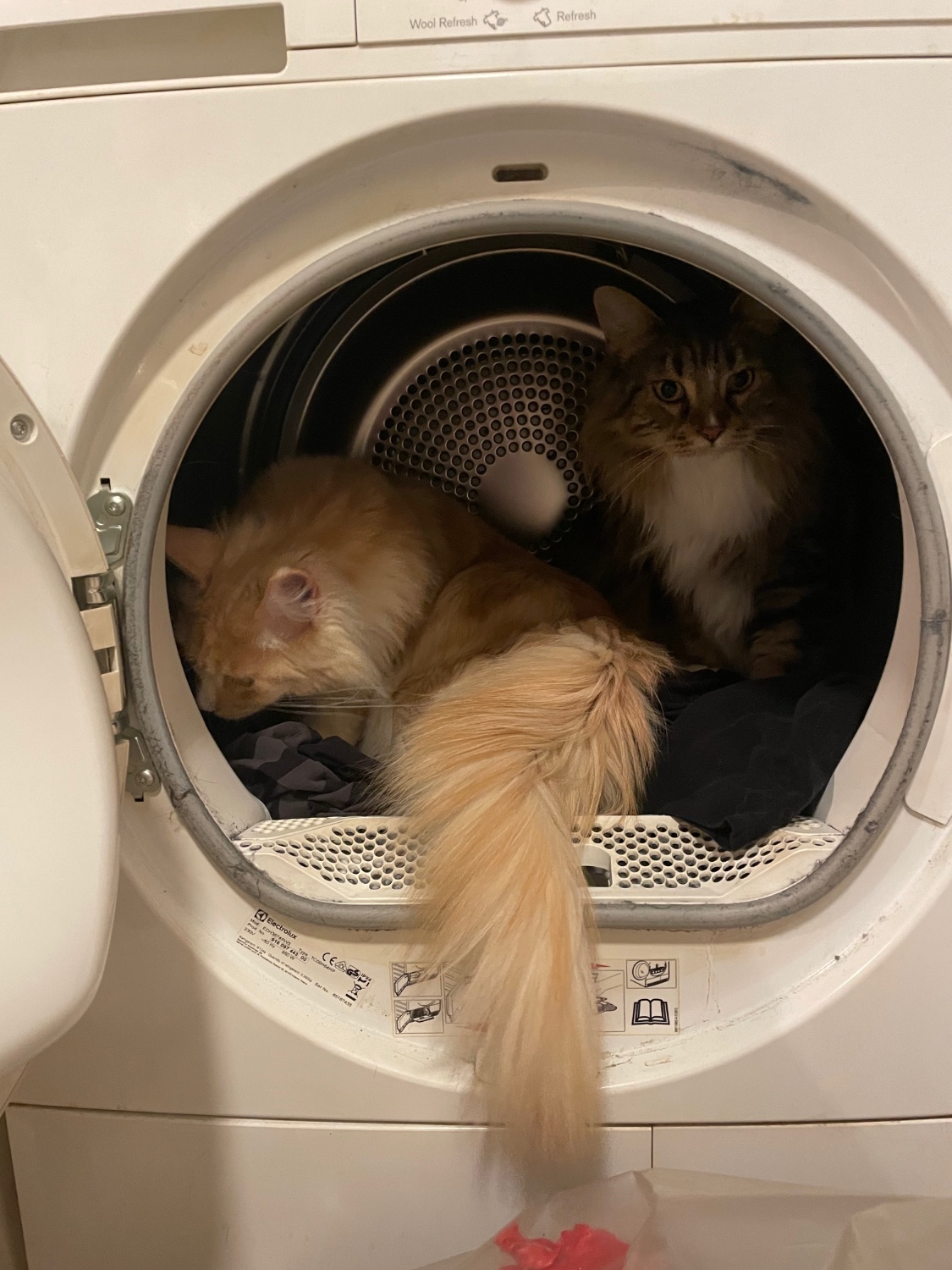 Solve Check the laundry! jigsaw puzzle online with 300 pieces