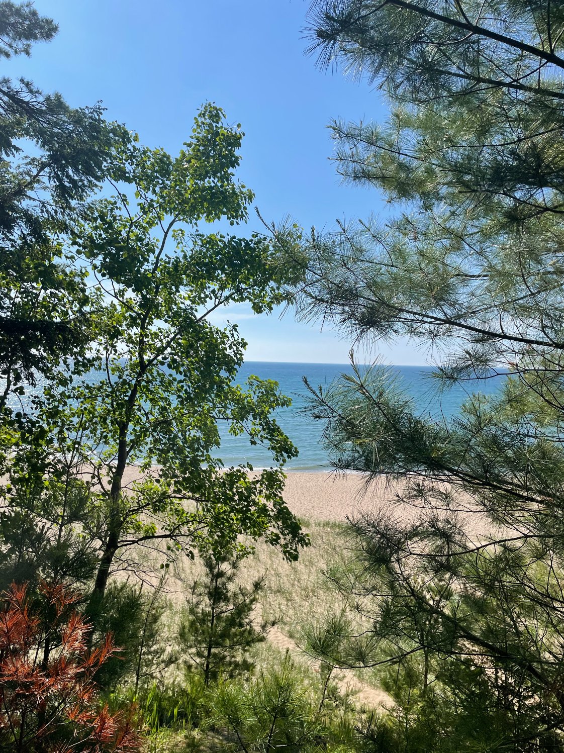 Solve Lake Michigan At Sundling Park jigsaw puzzle online with 130 pieces