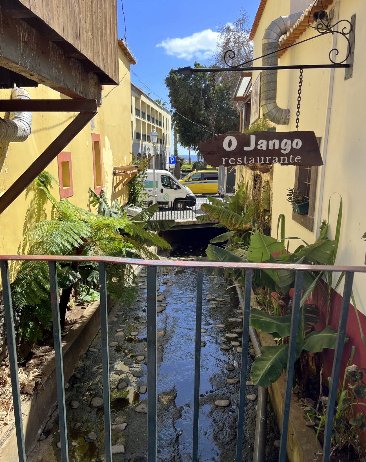 Solve Jango, Funchal jigsaw puzzle online with 221 pieces