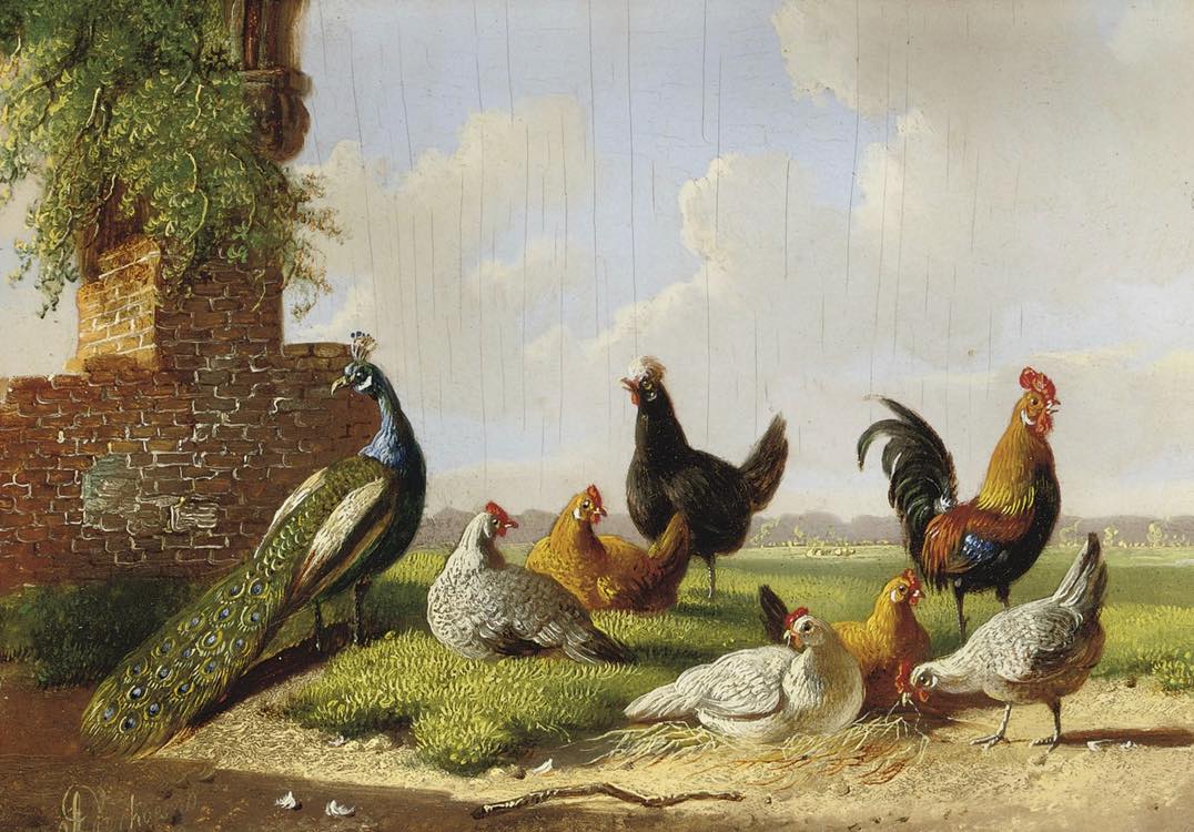 Solve Albertus Verhoesen (Dutch, 1806–1881), A Peacock, a Rooster, and ...