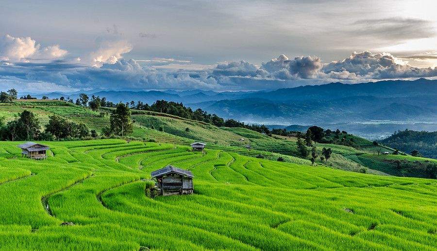Jigsaw Puzzle | 15 pieces | Rice Fields at Maechaem in Thailand | Jigidi